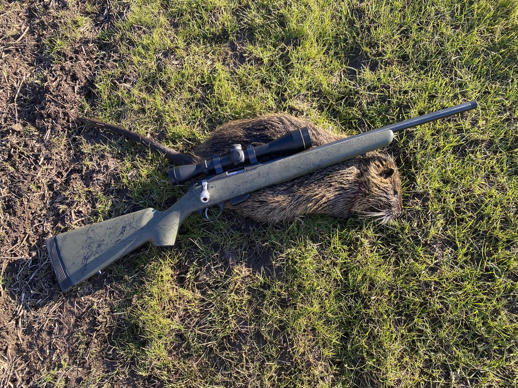 1 D2 E4 A2 F B88 F 4 BEC B254 D5 DF00 E7 B18 C — Postimages