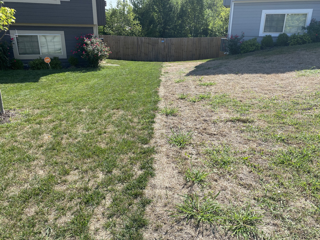 First Ever Lawn Renovation - Need Advice | Lawn Care Forum