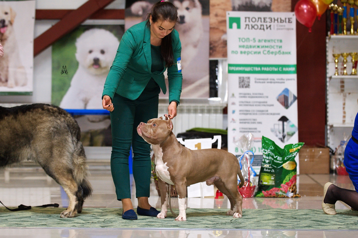 IMG 0030 — Postimages