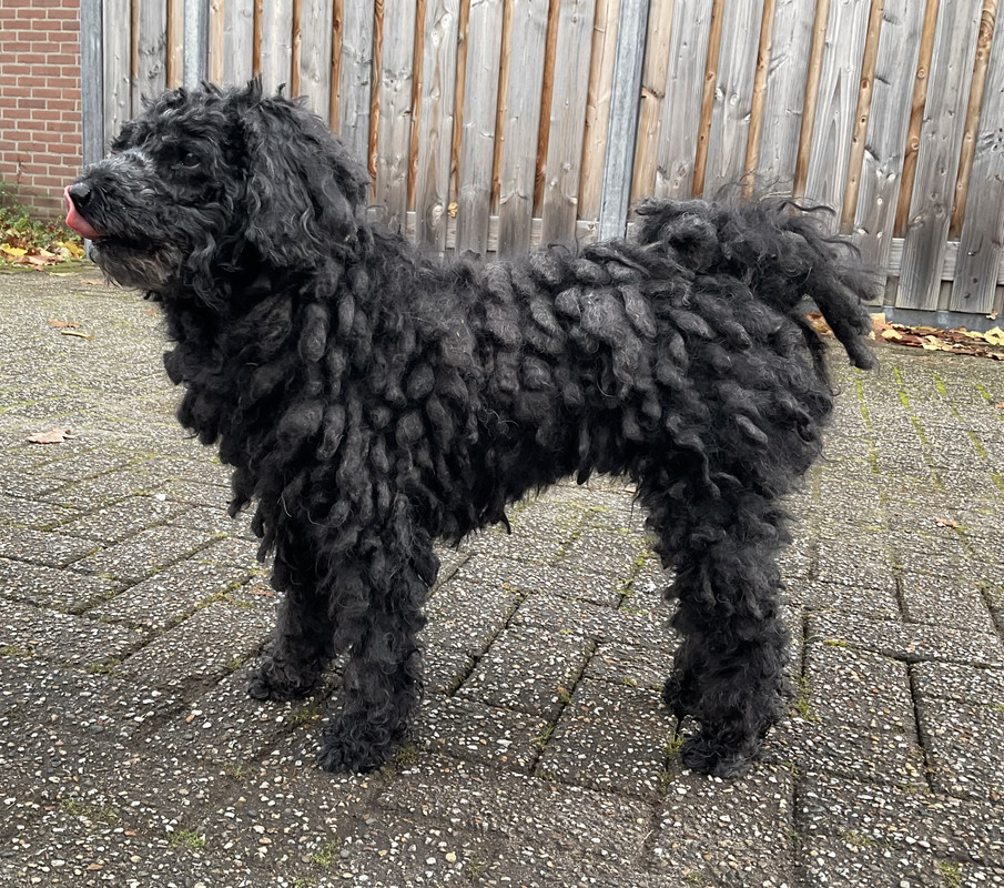 IMG 2633 — Postimages