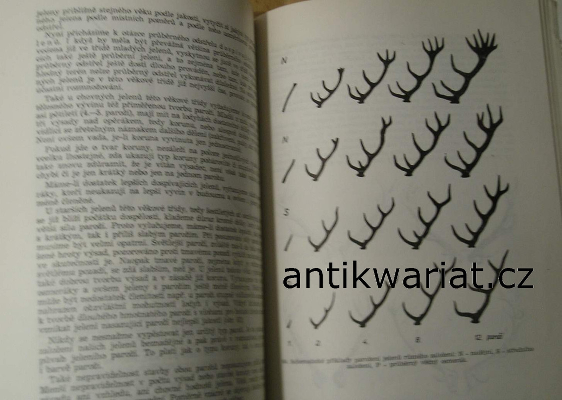 1wa Image00014 — Postimages