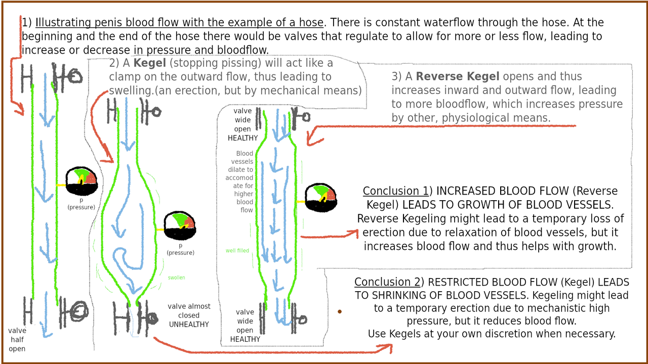 Cured PE turned into slight ED : r/erectiledysfunction