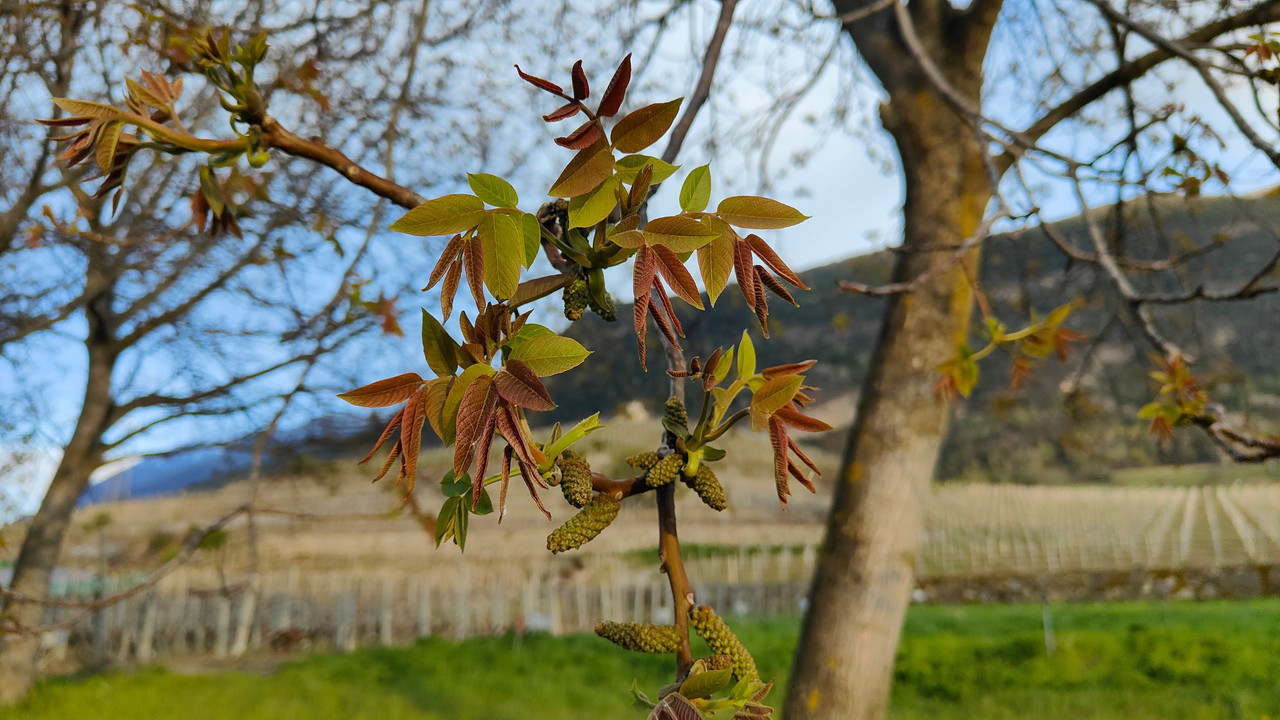 IMG 20210416 212145 216 — Postimages