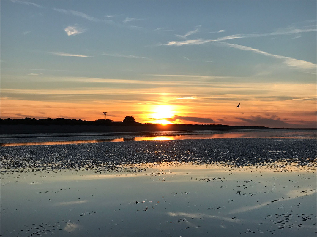 C3473 F9 F 8 FEC 452 B 91 A1 0629 E4 BDB281 — Postimages