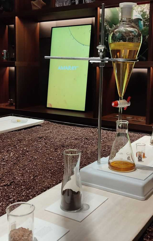 Amarey, la nuova linea skincare derivata dal caffè Illy - Wondernet ...