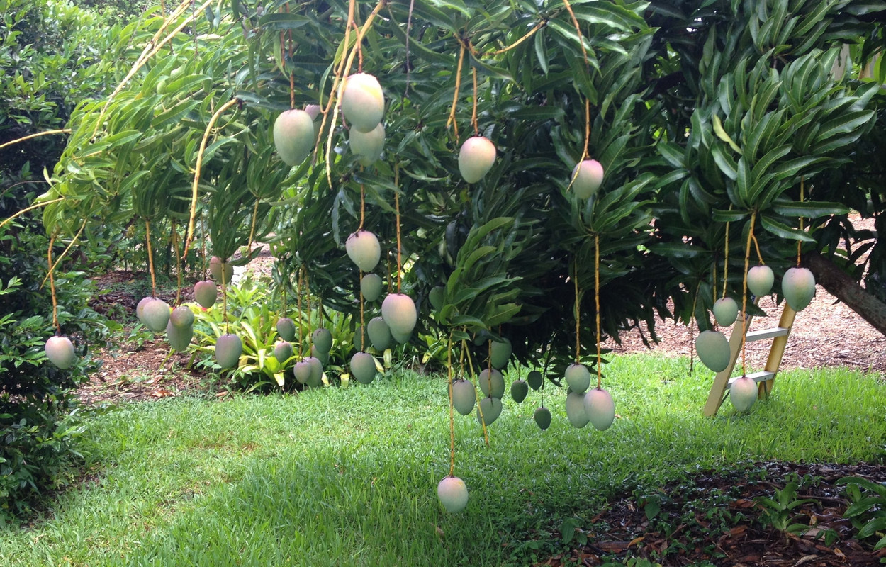 IMG 0442 — Postimages