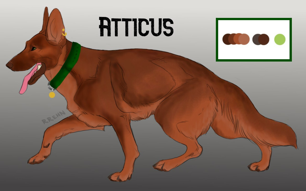 50881810 x Jqd512zos Vl Ey X — Postimages