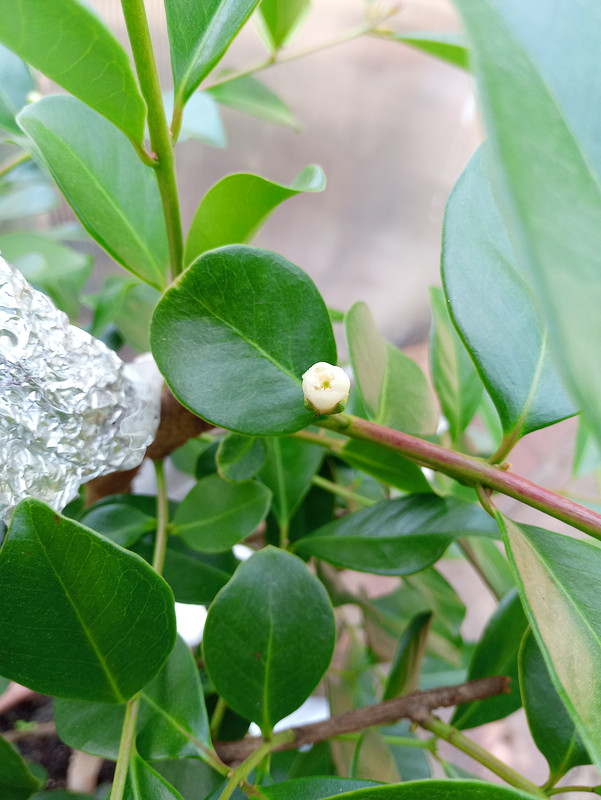 IMG 20230602 114804 530 — Postimages