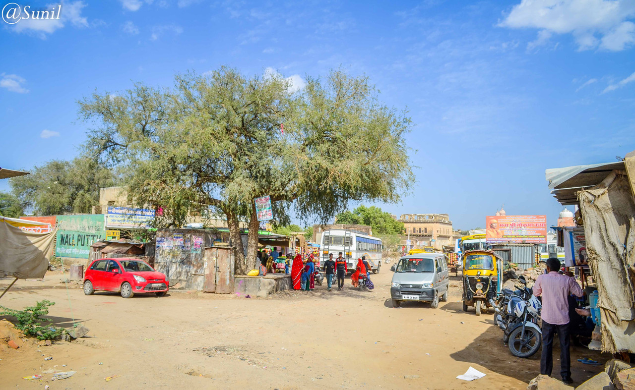 Jhunjhunu-Alsisar-Malsisar-Sadasar…..!!! | Joy Club