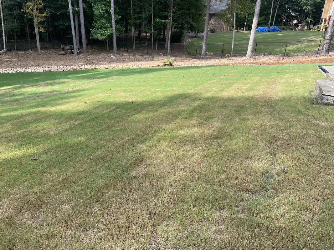 Tiff Tuff Emergency Plz Help! | Lawn Care Forum