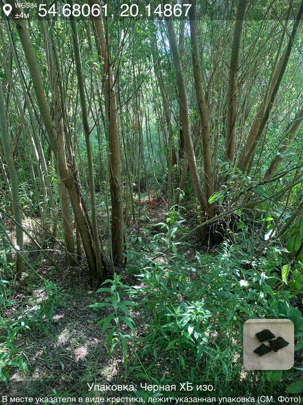 IMG 6789 compressed — Postimages