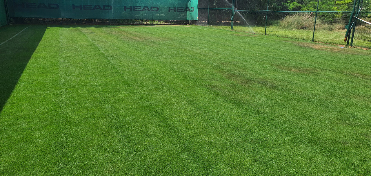 20200703 110303 — Postimages