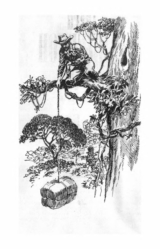 p0005 — Postimages