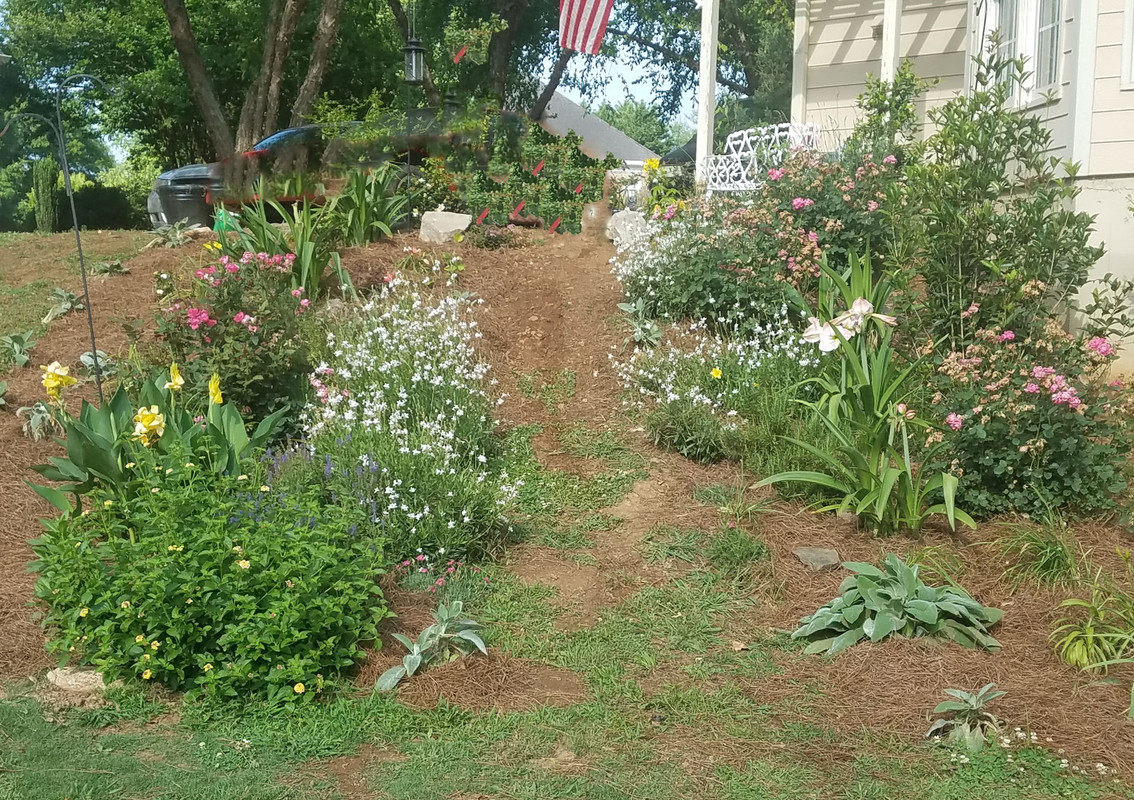 DIY steps | Lawn Care Forum