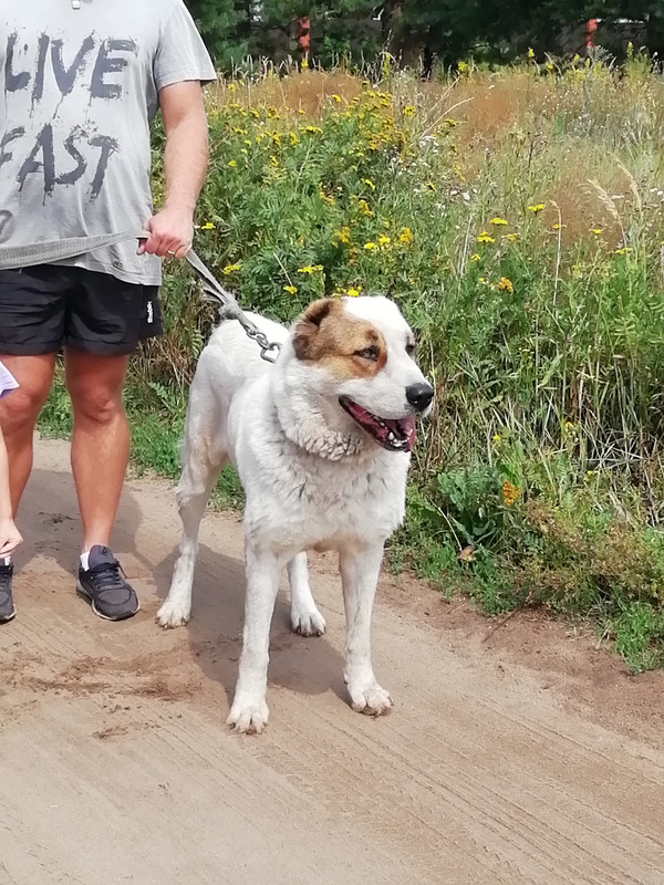 IMG 20190724 110620 — Postimages