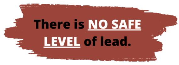 Childhood Lead Poisoning Prevention