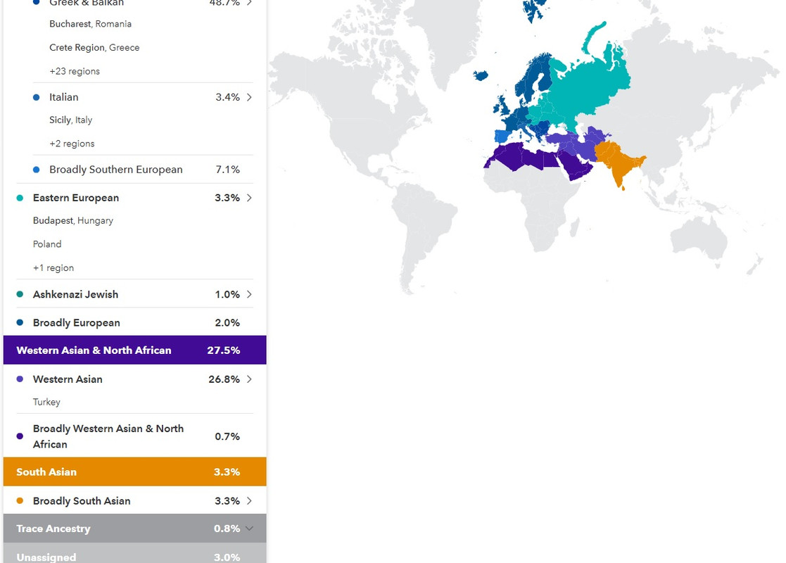 Did MyHeritage pretty well figured out Mortimers Russian Heritage?