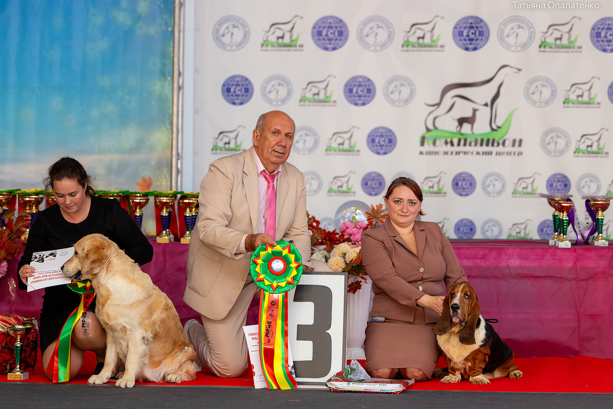 IMG 5296 — Postimages