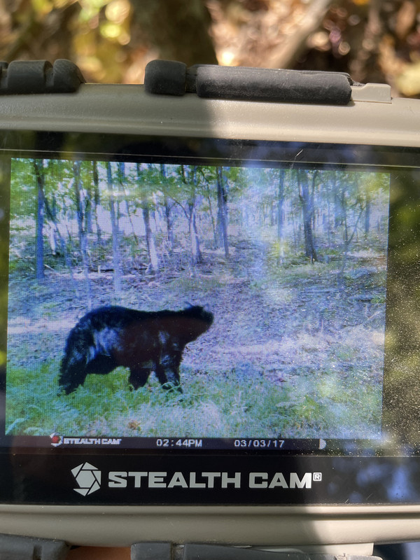 IMG 1527 — Postimages