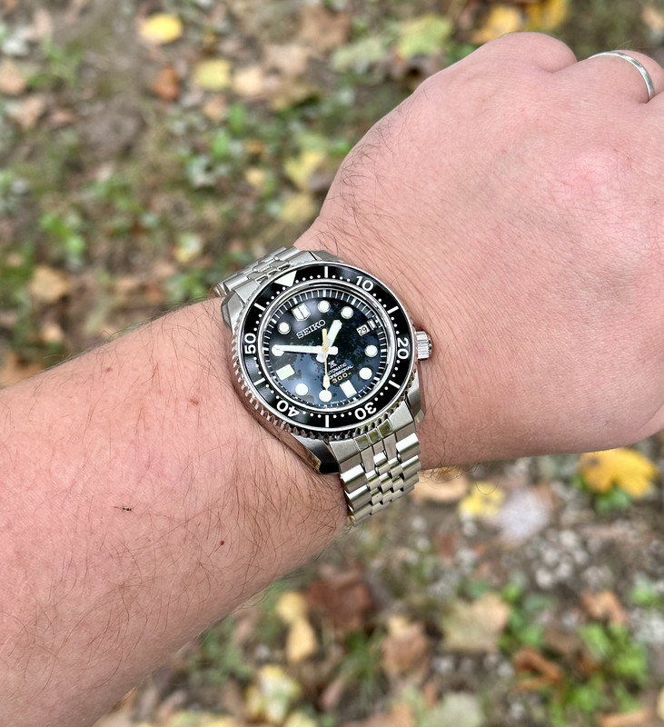 IMG 1981 — Postimages