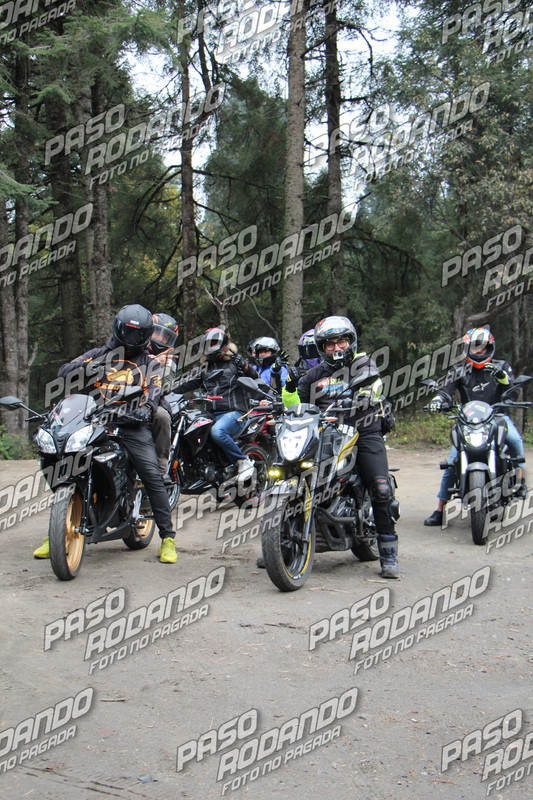 IMG 9275 wm 1841422 2999999989 watermarked — Postimages