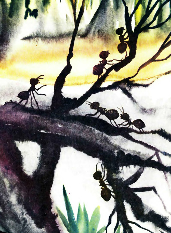 p0006 — Postimages