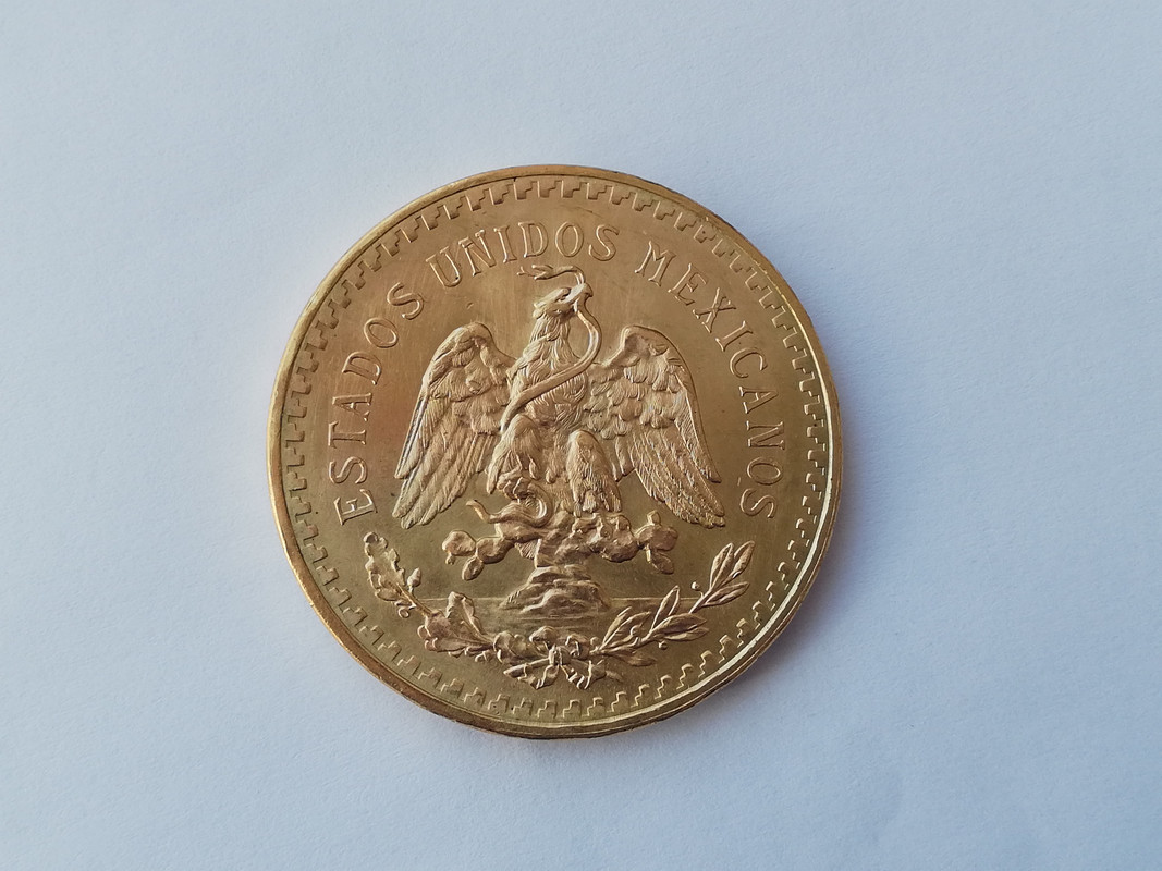 IMG 20230112 112639 — Postimages