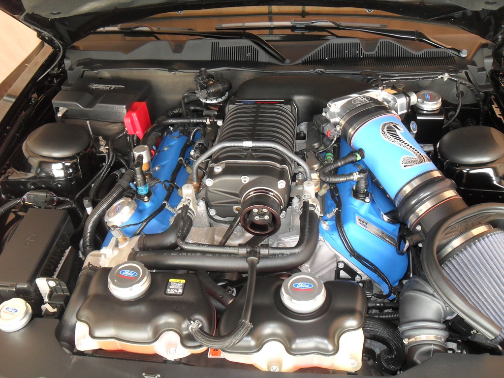 Show us your Engine Bay.... | SVTPerformance.com