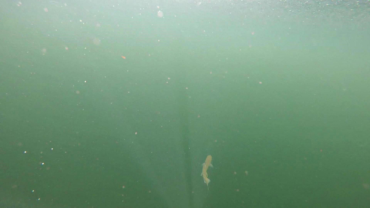 First Ice6 — Postimages