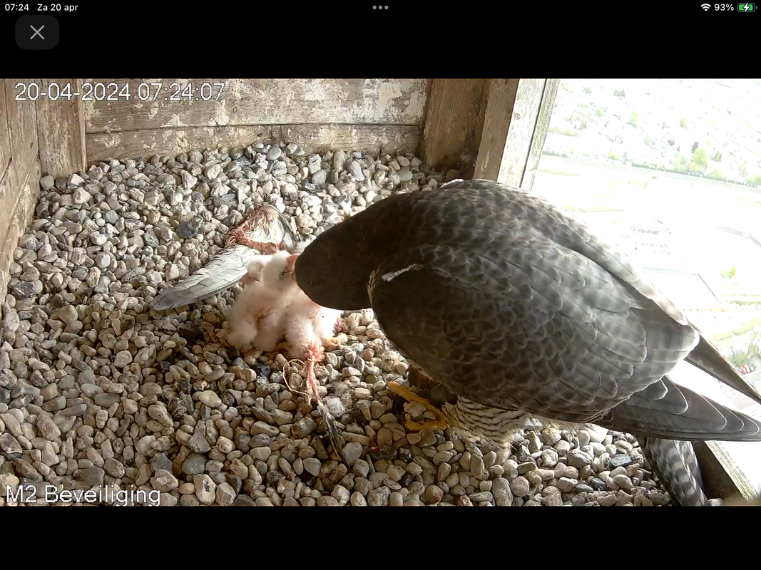 IMG 0234 — Postimages