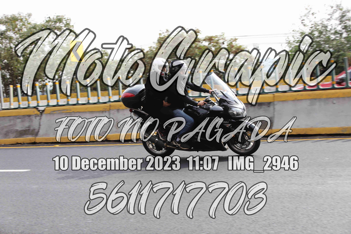 motgr IMG 2946 — Postimages