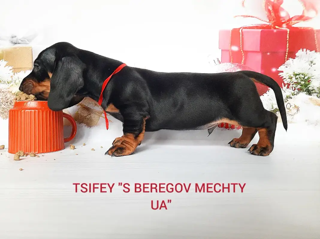 IMG 20221226 150640 474 — Postimages