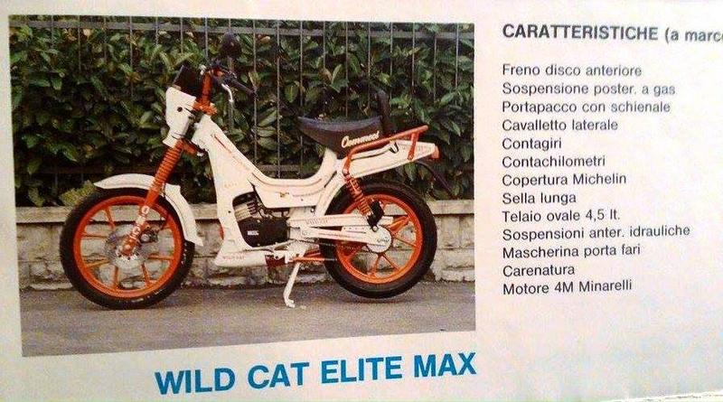 Wild Cat elite Max 4M