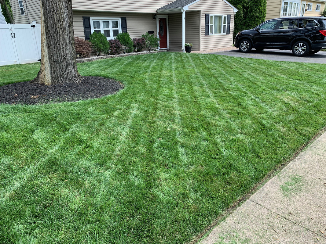 IMG 7992 — Postimages