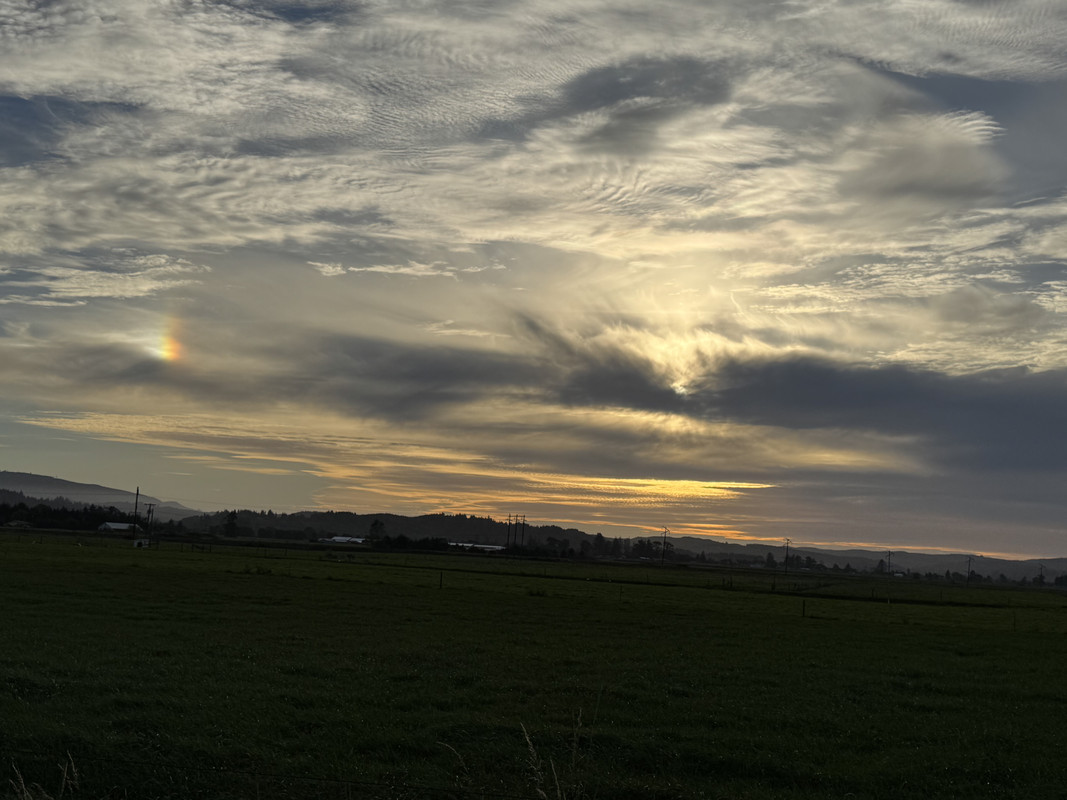 IMG 1561 — Postimages