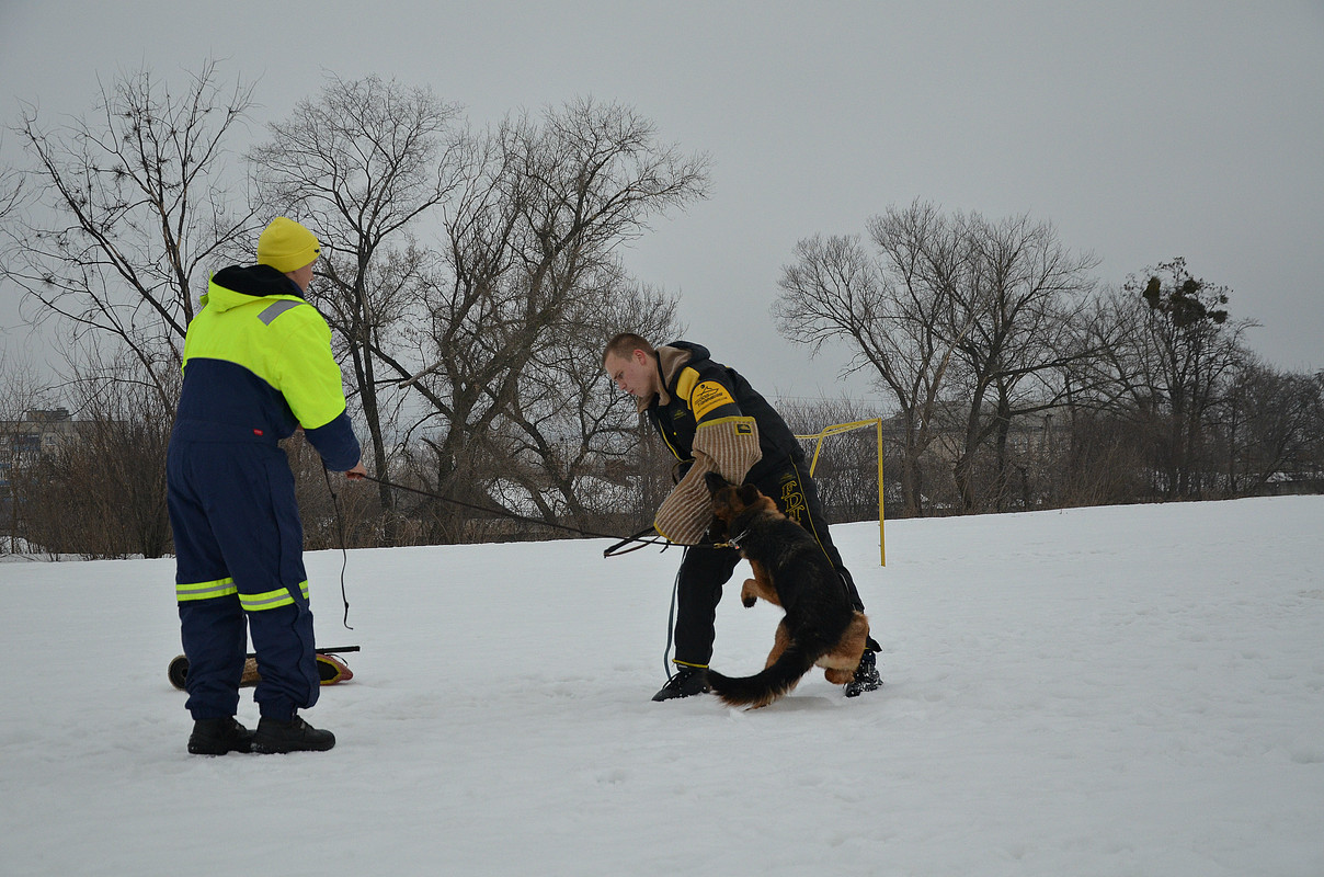 эля 22 — Postimages