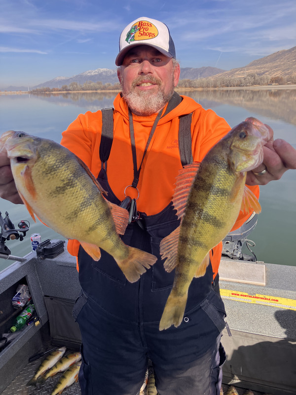 IMG 3092 — Postimages