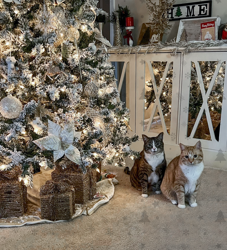 Lovely Cats water mark — Postimages