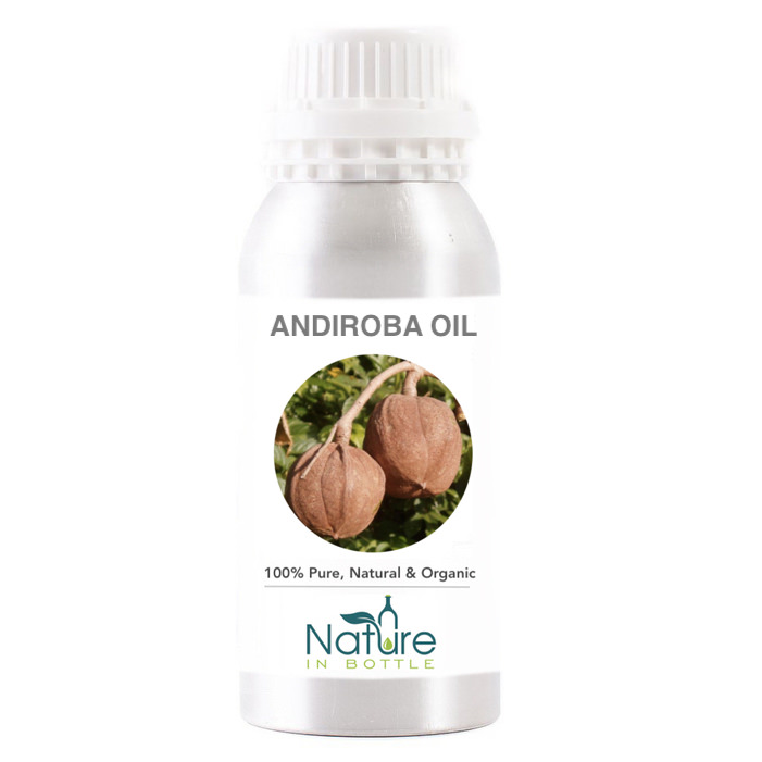 Andiroba Oil Organic - Carapa Guianensis Seed Oil