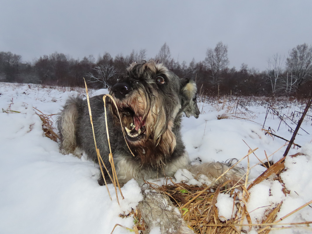 IMG 7722 — Postimages