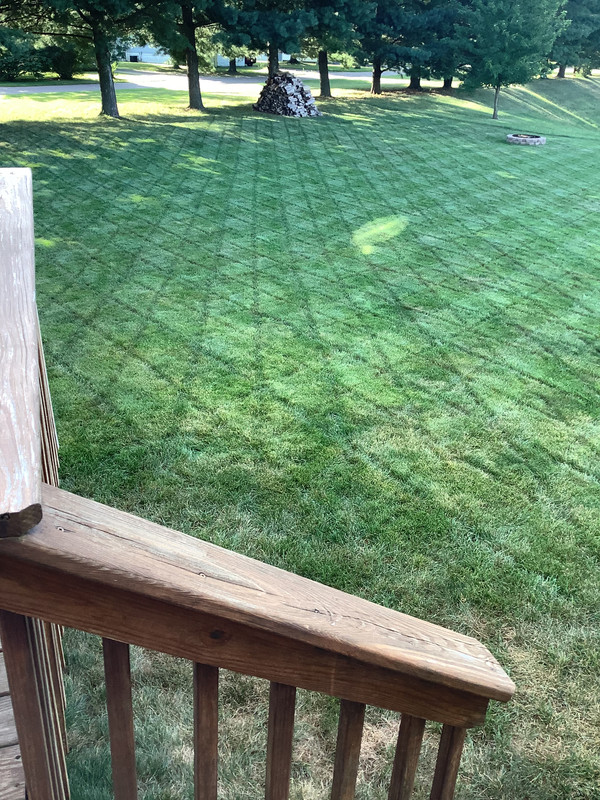 Does anyone else have problem with wheel ruts from a push mower? | Lawn ...