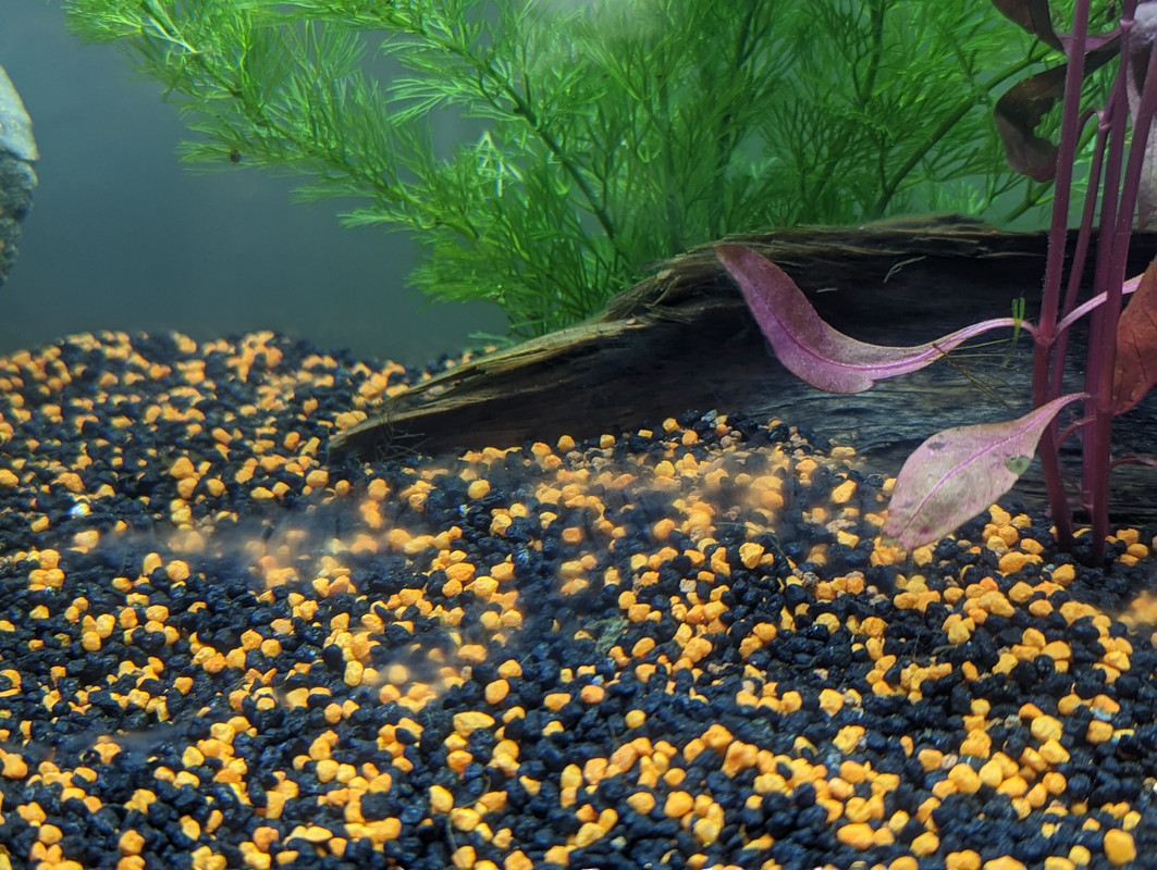 PXL 20230219 082240128 — Postimages