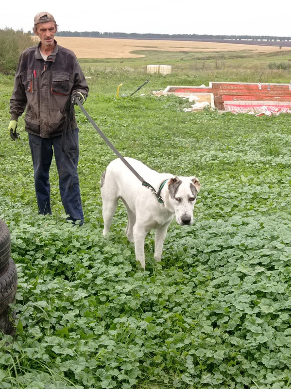 We Kh Ws1v Uu E — Postimages