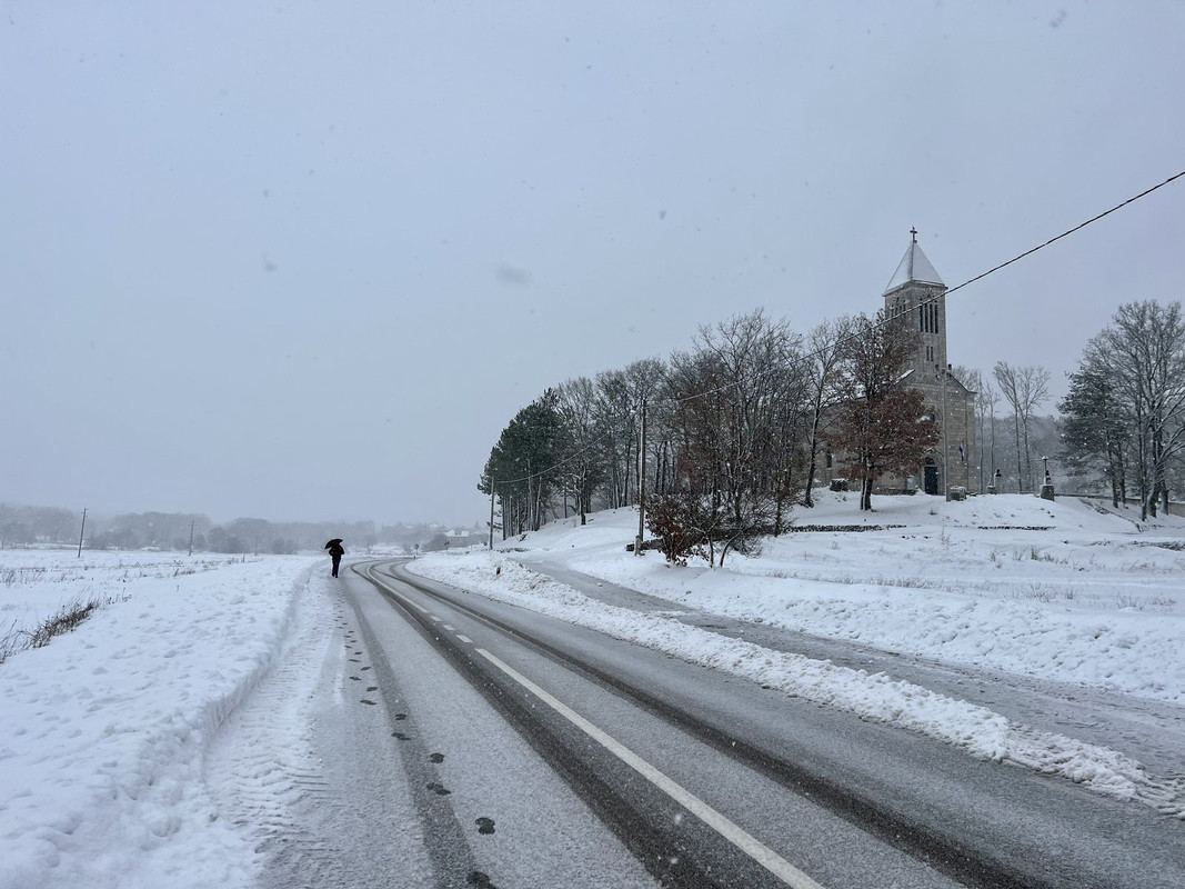 BEEDD6 BD E7 C4 4183 8822 C57059327775 — Postimages