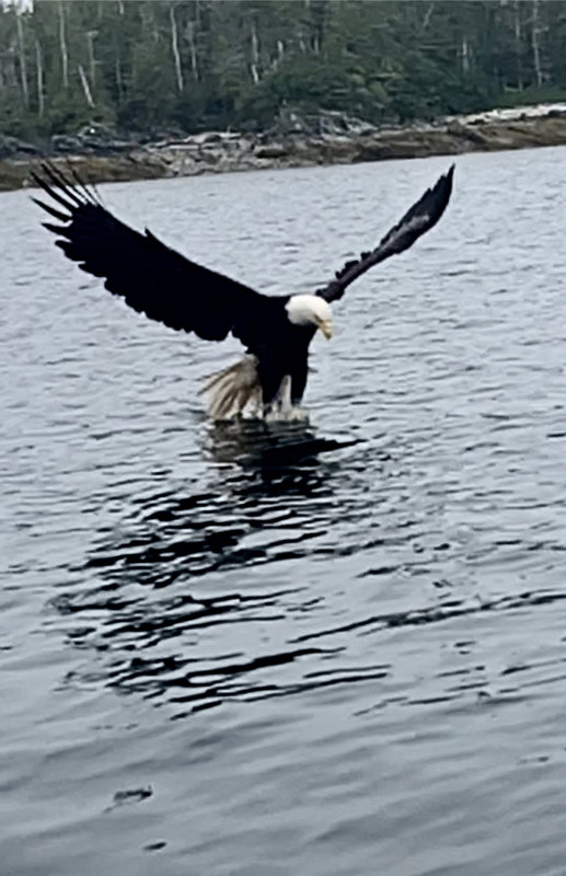 4027 FD4 C 0 A8 D 4 AFE ADC8 3252 D5 B0178 D — Postimages