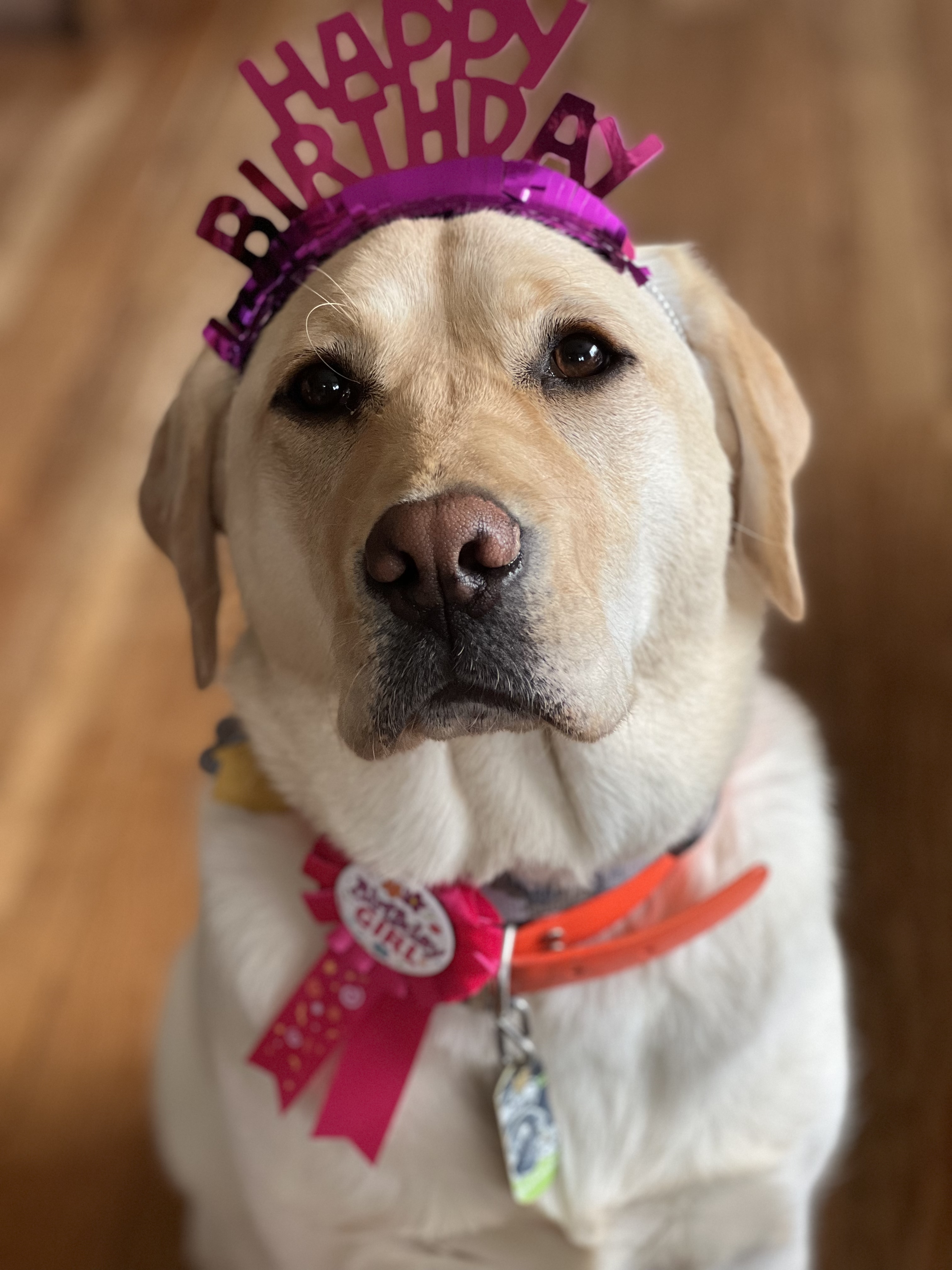 C3 D62 B77 B0 FE 49 B4 A9 BD FAF4 C7721 A34 — Postimages