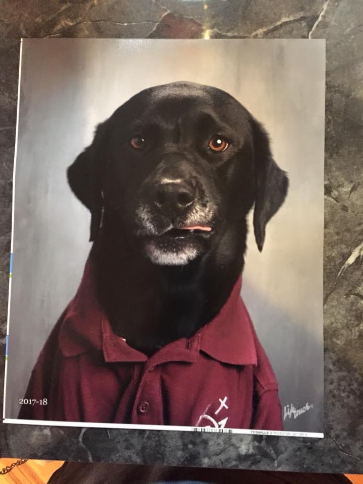 IMG 6563 — Postimages