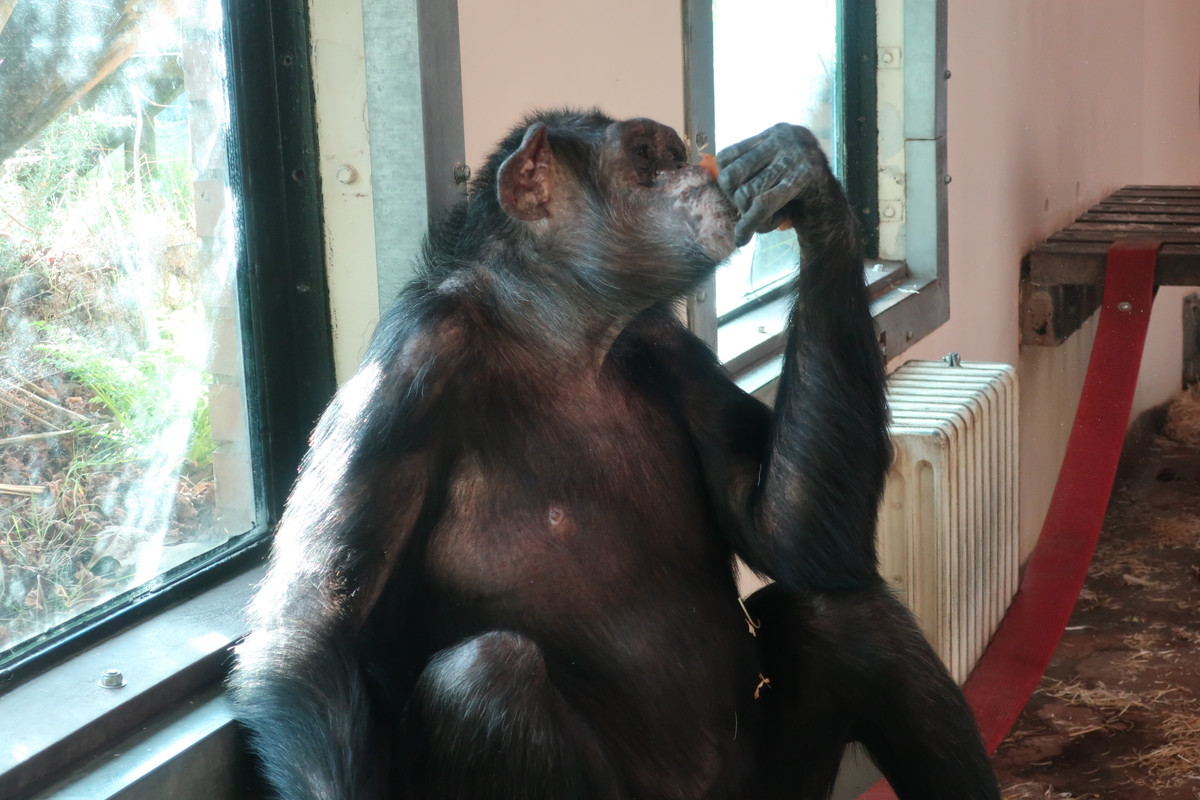 IMG 0879 — Postimages