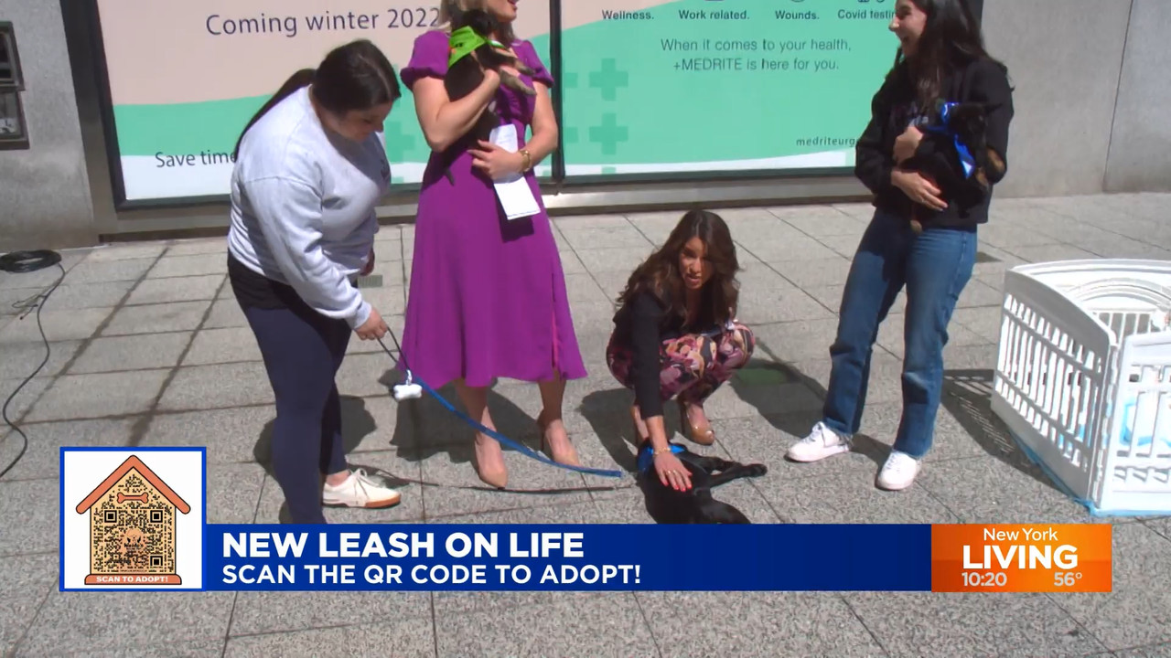 05 25 15 00 00 New York Living ᴺᵉʷ ts snapshot 00 21 22 068 — Postimages