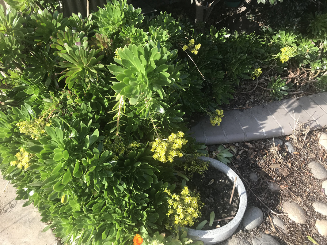 3 A5 D8 ECA 155 D 45 DC 9119 2629 FE1 C495 F — Postimages